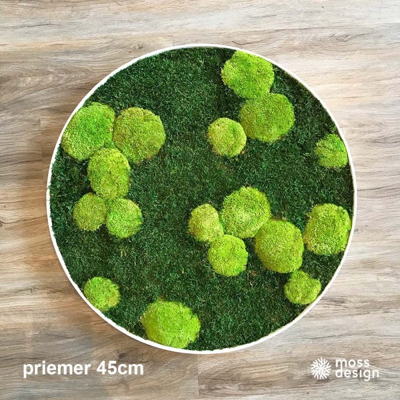 Machový kruhový obraz -Bolmoss a lesný mach | Mossdesign