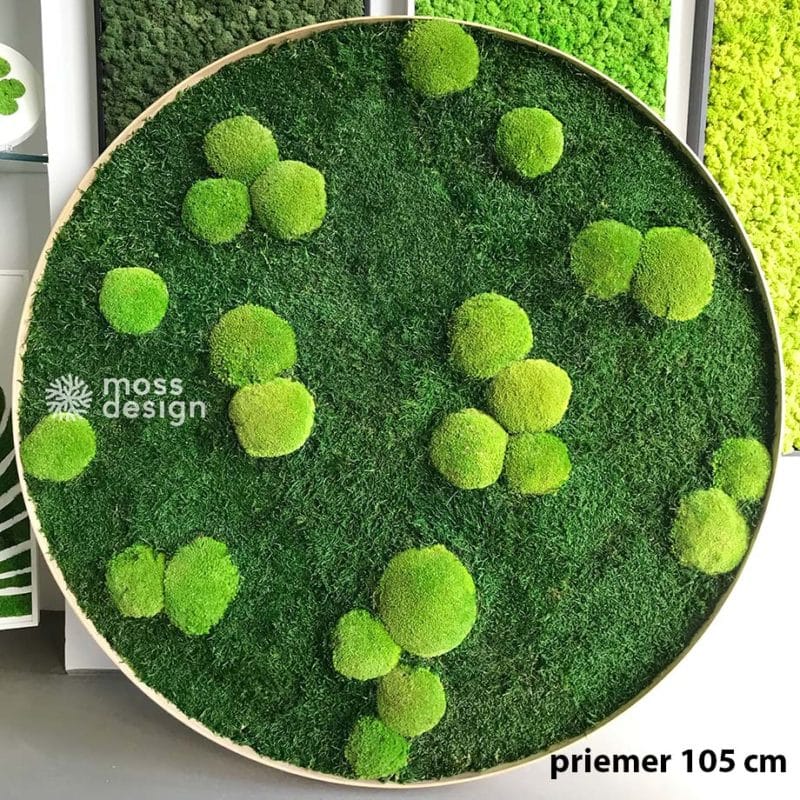 Machový kruhový obraz -Bolmoss a lesný mach | Mossdesign