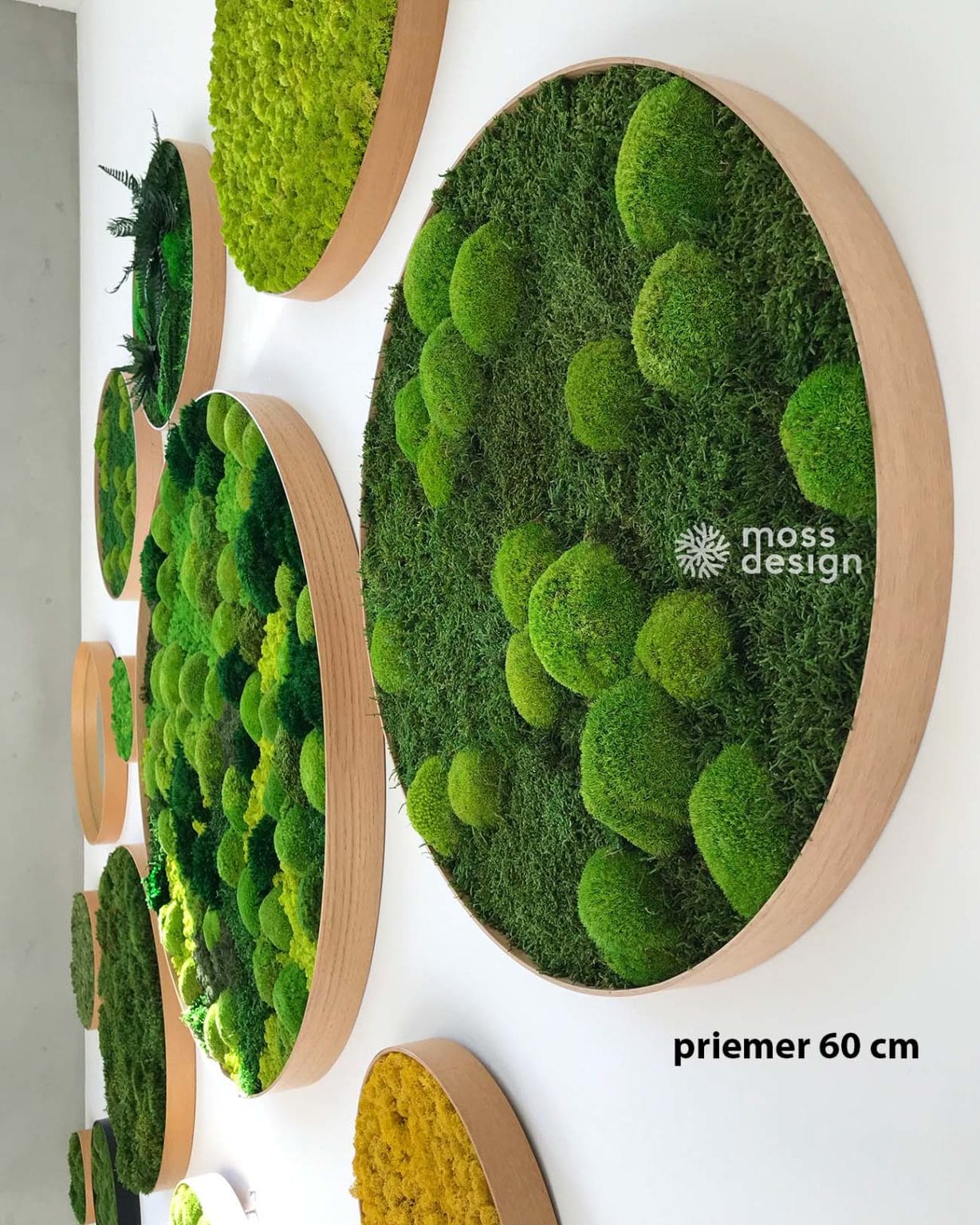 Machový kruhový obraz -Bolmoss a lesný mach | Mossdesign