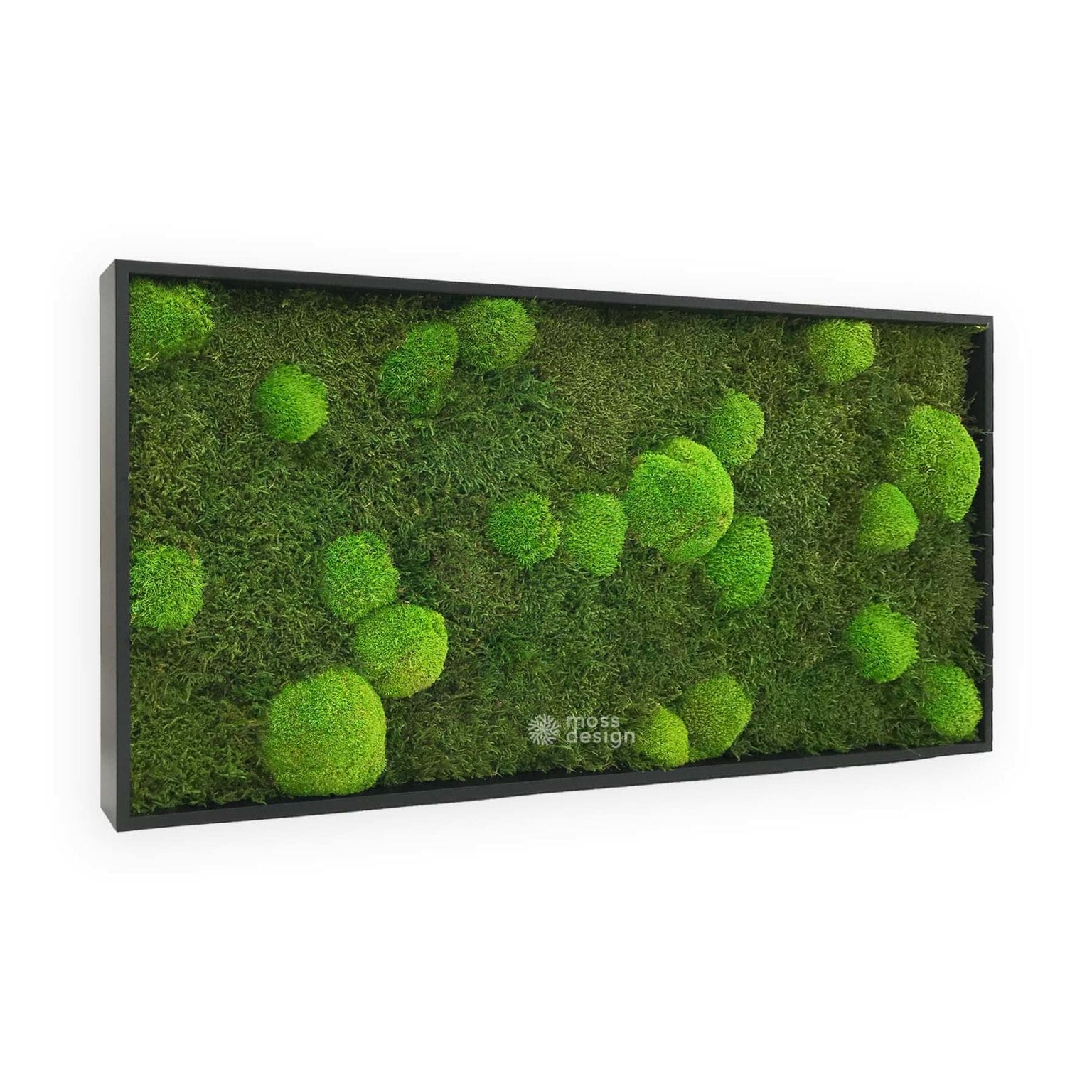 Machový obraz - kopcovitý a lesný mach | Mossdesign