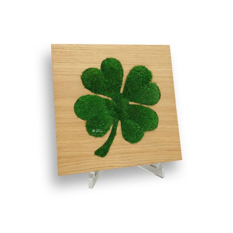 Machové doplnky – Moss design